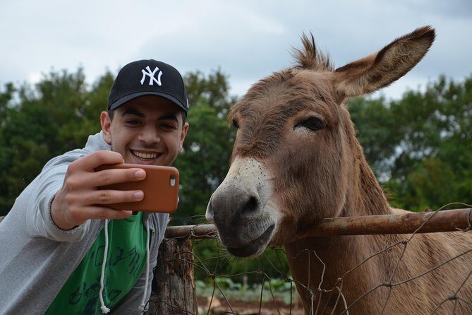 Herzegovina Full Experience in a Day Tour from Mostar - Herzegovina Full Experience in a Day Tour from Mostar: A Complete Guide