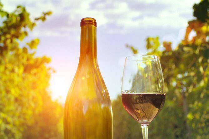 Highlights of Provence : food, wine and seaside in Cassis and Aix - A Closer Look at the Itinerary