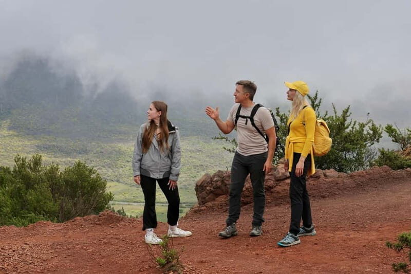 Hike above Masca through relict woods. SMALL GROUPS. - Detailed Itinerary Breakdown