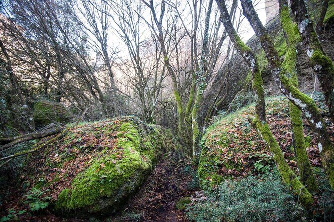 Hike among & Fly above Meteora - FAQ