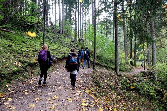 Hike In Gauja National Park - Up And Down The Switzerland Of Latvia - Transportation and Logistics: Hassle-Free and Convenient