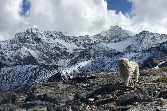 Hiking experience in the High Sierra Nevada National Park - Detailed Breakdown of the Itinerary