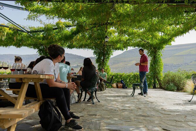 HIKING in the Douro Valley - Practical Details and Experience Quality
