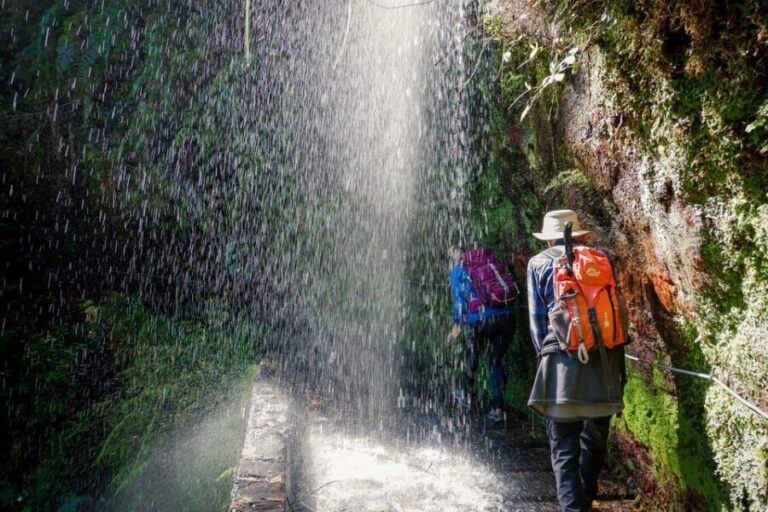 Hiking Madeira: Levada do Rei and the Majestic Laurissilva - The Itinerary in Detail