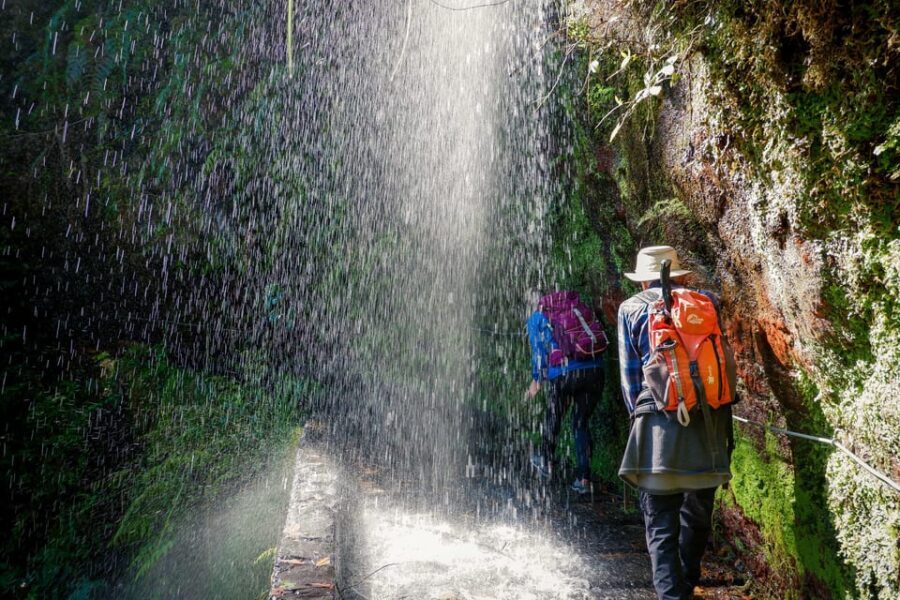 Hiking Madeira: Levada do Rei and the Majestic Laurissilva - The Itinerary in Detail