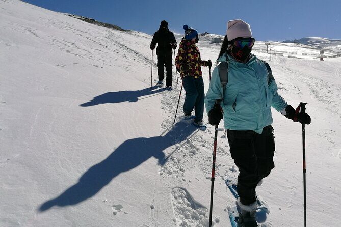 Hiking Snowshoeing in the Sierra Nevada Park, Granada - Why Travelers Love This Tour