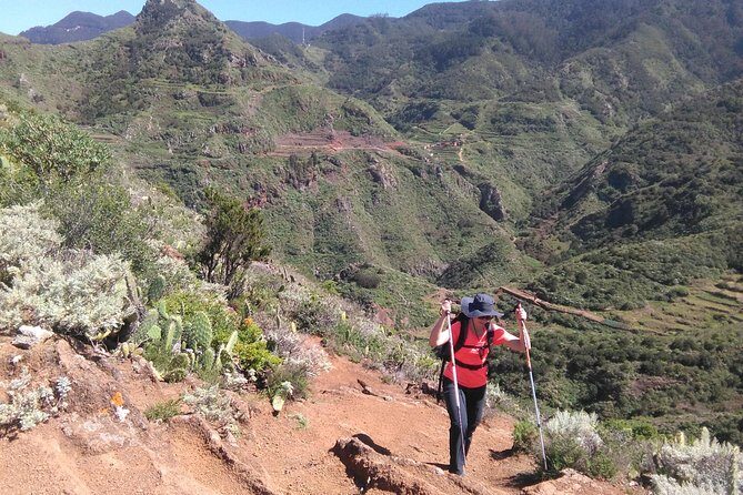 Hiking tour in the Anaga biosphere reserve in Tenerife - Frequently Asked Questions