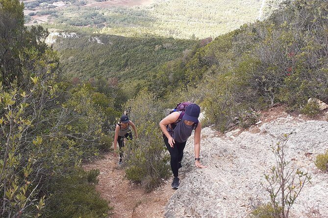 Hiking tour to the highest point of Arrábida mountain - An In-Depth Look at the Arrábida Mountain Hike