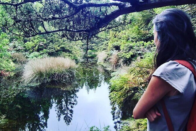 Hiking Trail Black Mysteries | Terceira Island - Who Should Book This Tour?