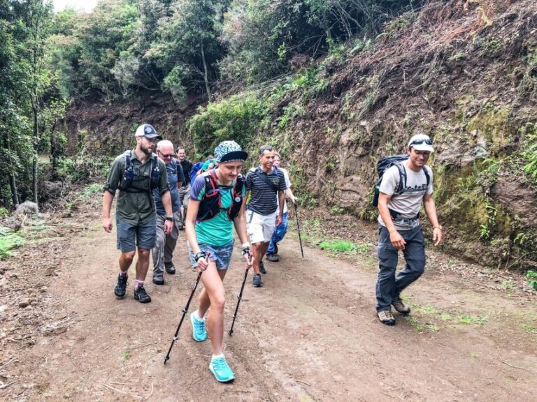 Hiking Trip with a Local - Why Choose This Hiking Tour in Madeira?