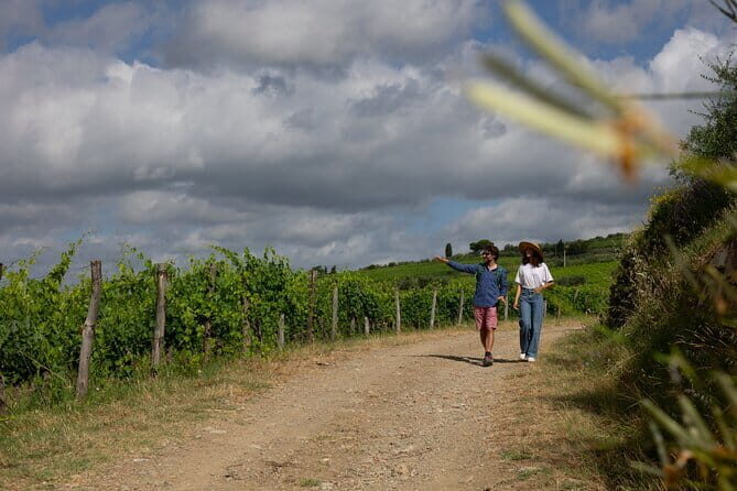 Hiking Tuscany & Chianti Wine - 3 Organic Wineries with lunch - Who Will Love This Tour?