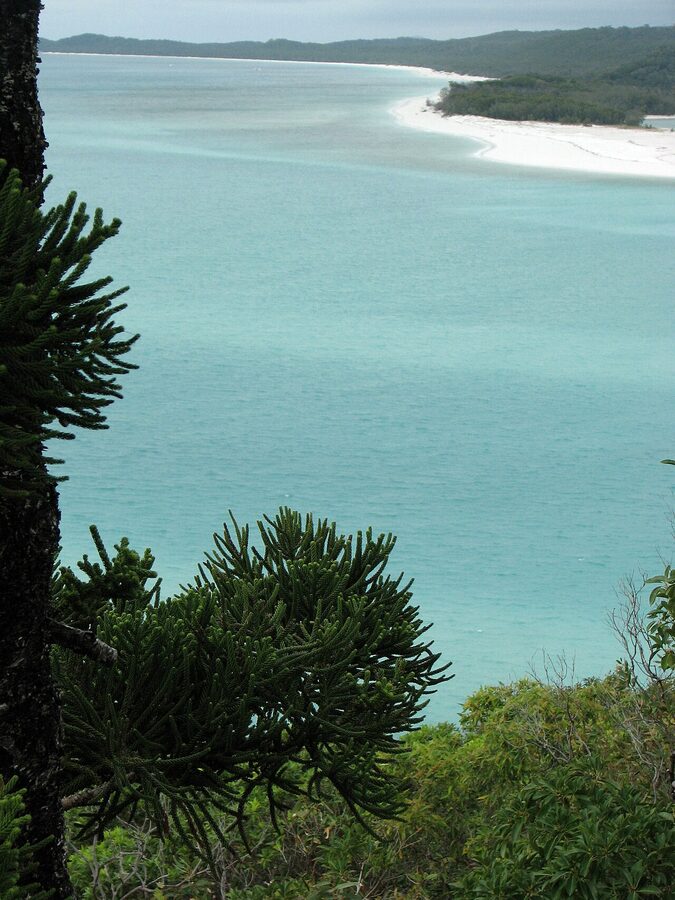 View from Hill Inlet lookout over Whitehaven Beach with swirling sand patterns