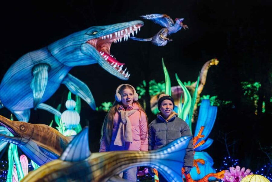 Hilvarenbeek: Light Safari at Beekse Bergen - Authentic Insights from Reviews