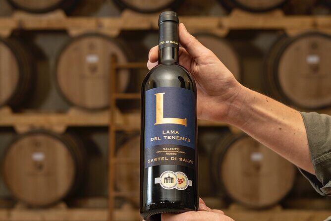 Historical Cellar Visit and Wine Tasting in Salento - The Itinerary: What to Expect