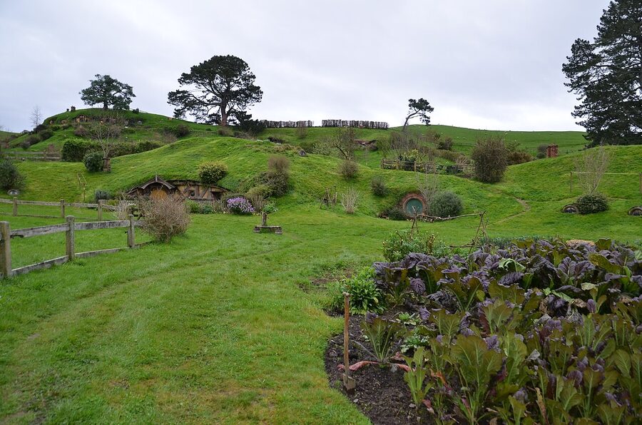 Hobbiton hobbit holes and gardens at Matamata