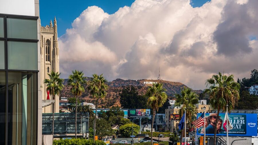 Hollywood Sign framed by palm trees and cityscape in West Hollywood