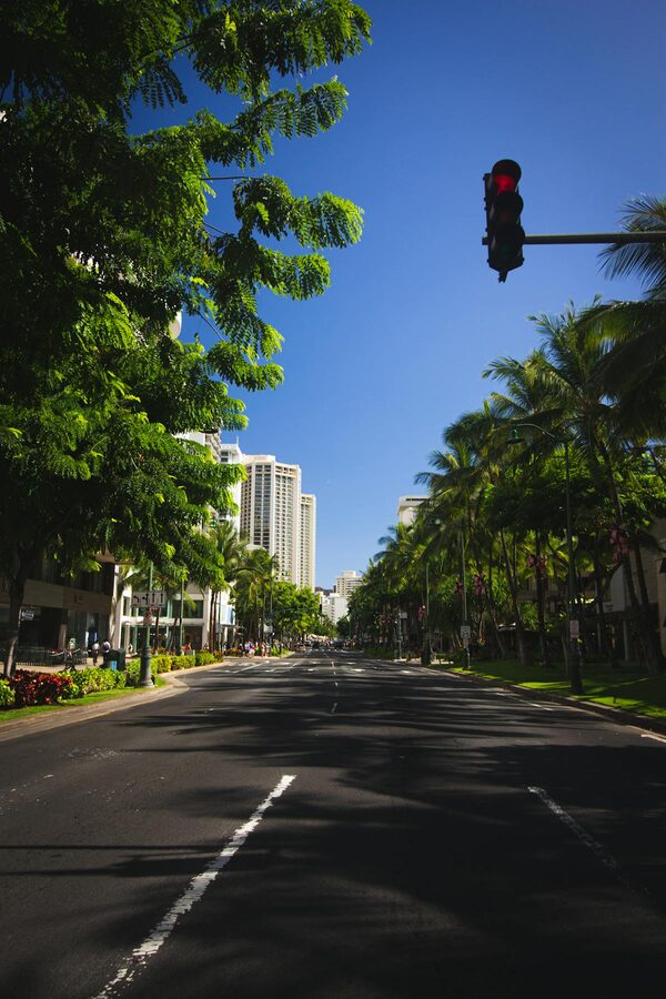 Street view in Honolulu with palm trees and skyscrapers