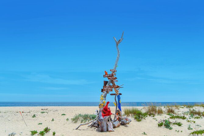 Hop On Hop Off 3 Islands: Deserta, Farol and Culatra - How the Experience Feels on the Water