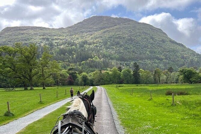 Horse-Drawn Carriage Tours in Killarney - What Makes This Tour Special?