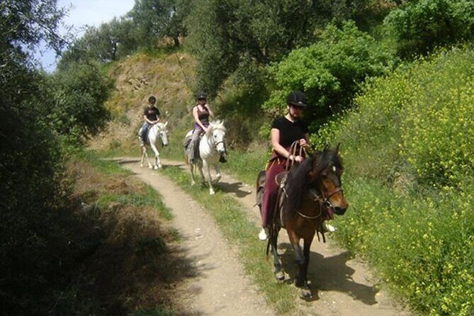 HORSE RIDING 1.5 hours mountains from area Hersonissos CRETE - Who Should Consider This Tour?