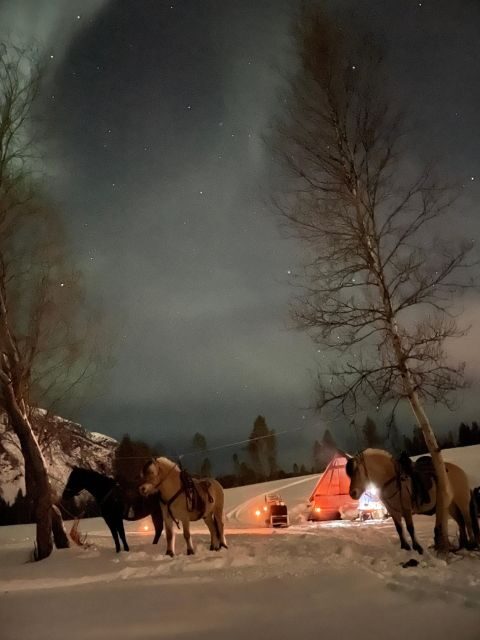 Horse riding and dining experience - What’s Included and Pricing Analysis