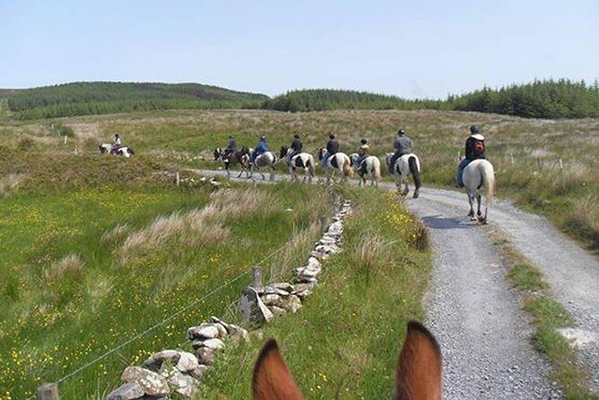Horse riding - Burren Trail. Lisdoonvarna, Co Clare. Guided. 3 hours. - The Scenic Highlights