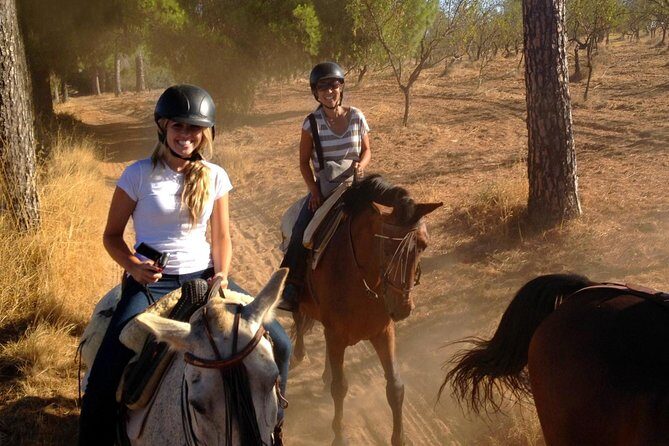 Horse Riding Excursion from Seville - Final Thoughts: Who Is This Tour Best For?