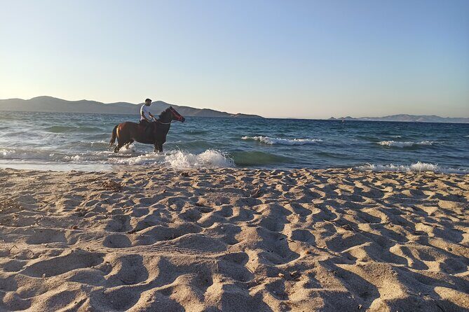 Horse Riding Experience on the Beach with Instructor - The Ride Itself: A Closer Look