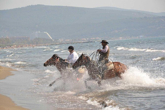 Horse Riding From Kusadasi Port / Hotels - The Small Group Advantage