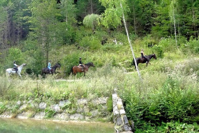 Horse Riding in Bled - Authentic Experiences & Insights from Riders