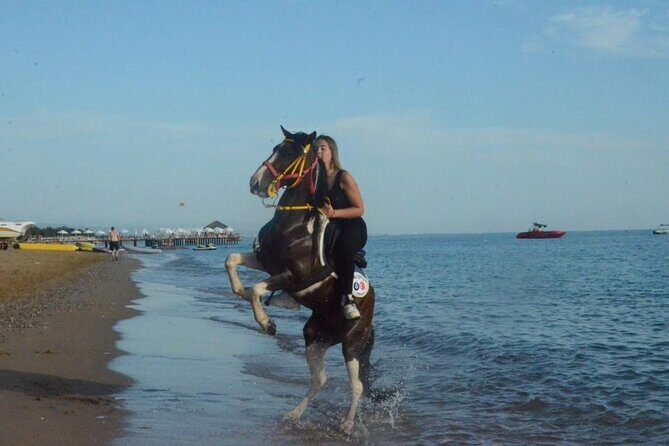 Horse Riding in Manavgat Side Forest and Beach - Practical Aspects of the Tour