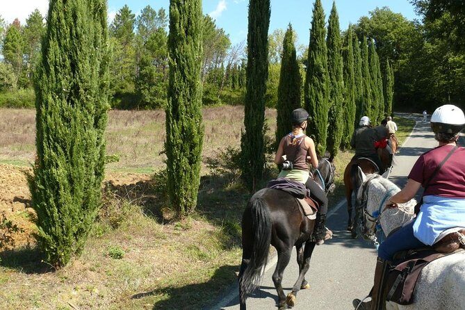 Horse Riding in Tuscany for Experienced Riders: Full-day Trail Ride - Final Thoughts on the Full-Day Trail Ride in Tuscany