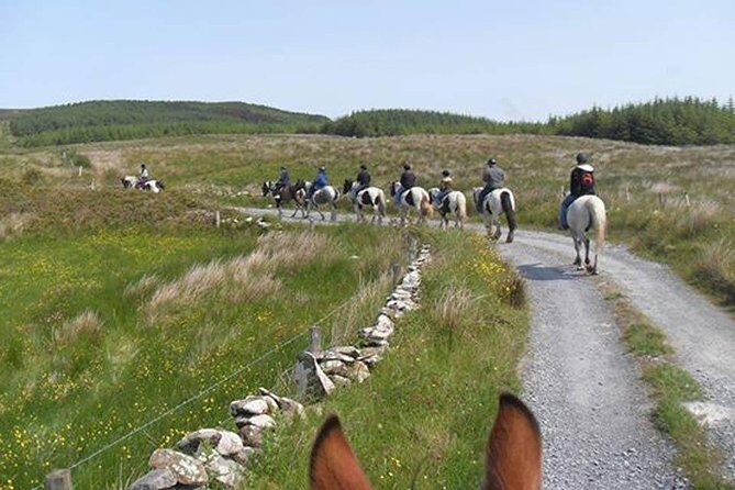 Horse riding - Mountain Trail. Lisdoonvarna, Co Clare. Guided. 2 hours. - Who Is This Tour Best For?