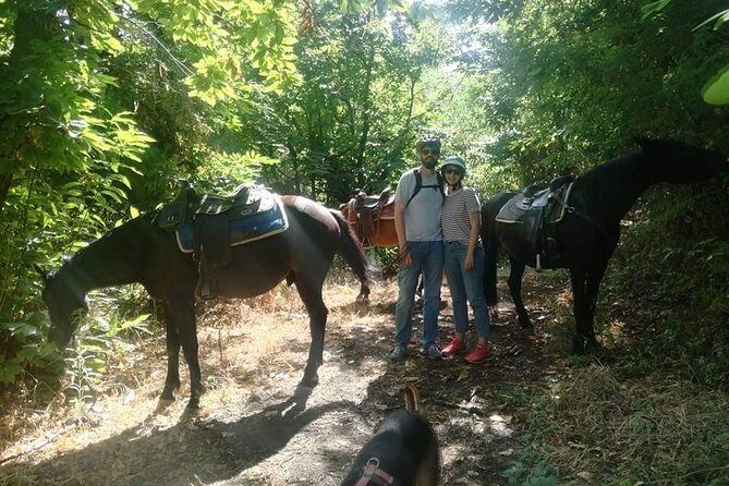 Horse Riding on Mount Vesuvius - Transport, Group Size, and Practicalities
