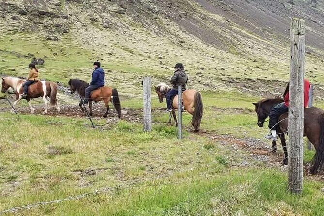 Horse Riding Tour in Reykjadalur (Smoky Valley)-All Riding Levels - A Detailed Look at the Reykjadalur Horse Riding Tour