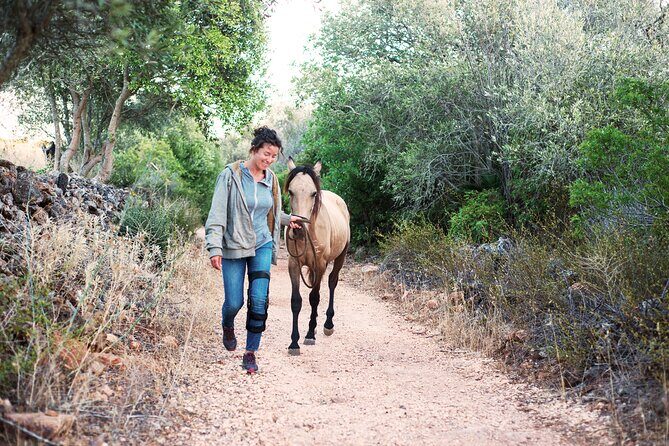 Horse Sanctuary: A nature walk with Rescued Horses by your side - What to Expect on the Tour