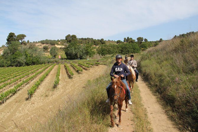 Horseback Ride, Penedes, Wine Tasting & Tapas Private Tour - Pares Balta: A Guided Wine Tasting