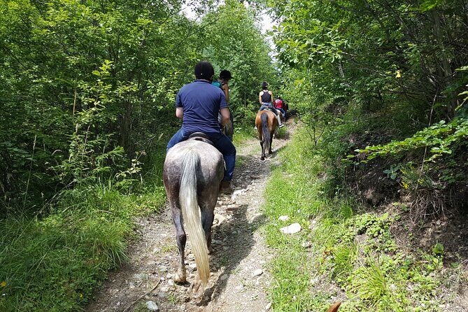 Horseback riding adventure tour through Brasov landscape - Who Will Love This Experience?