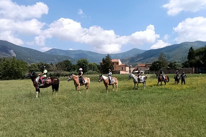 Horseback riding and aperitif 2 hours for beginners - What to Expect in Practical Terms