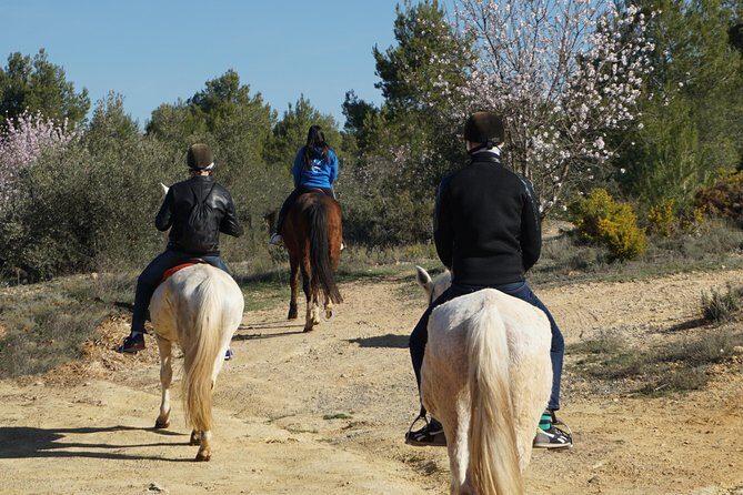Horseback riding and wine tour (private tour) - Who Would Love This Tour?