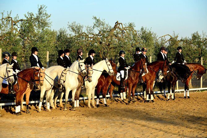 Horseback riding around Doñana National Park - Who Will Love This Experience?