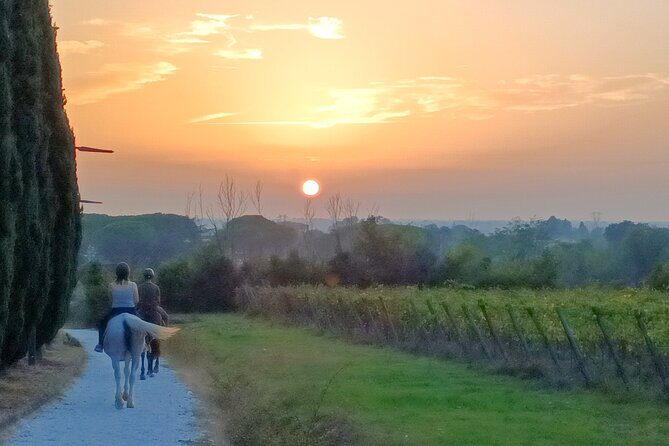 Horseback riding at sunset 1 hour at the Certosa di Pisa - Transport and Logistics