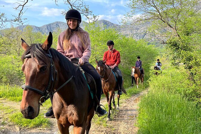Horseback Riding Experience with transport from Dubrovnik - The Itinerary: What to Expect from Start to Finish