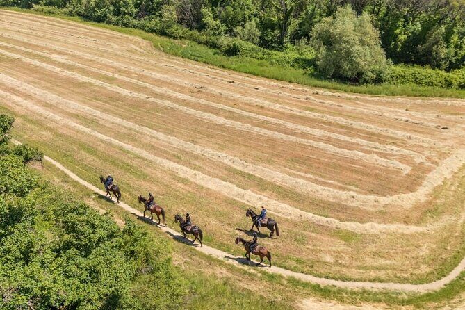 Horseback Riding in the Vineyards - The Practical Side: Details that Matter