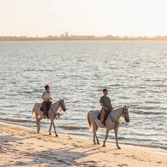 Horseback Riding On The Beach At Sunset - The Itinerary in Detail