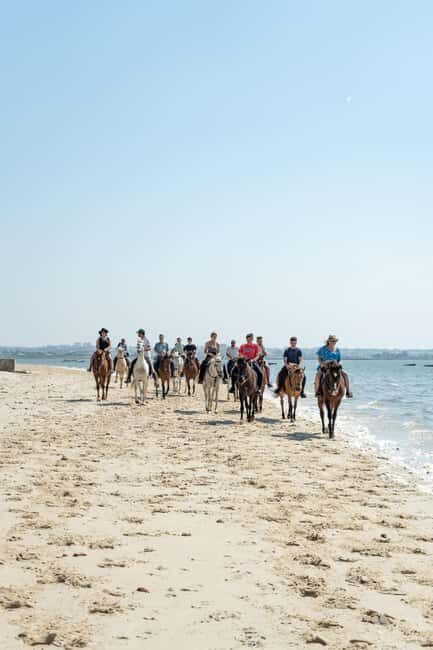 Horseback Riding Through The Beach GROUP - PDT - Who Should Consider This Tour?