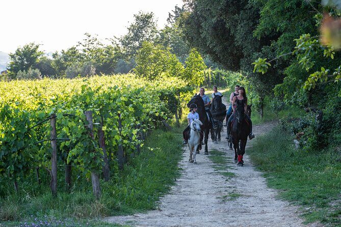 Horseback Riding Tour with Tuscan Picnic in Val d'Orcia and Valdichiana - The Experience Itself: Value and Authenticity