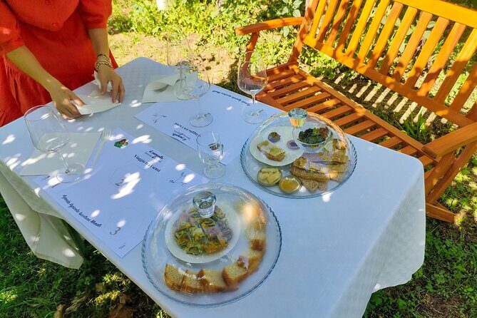 Horseback Riding with Pic Nic in Lazise Countryside - Practical Details and What to Expect