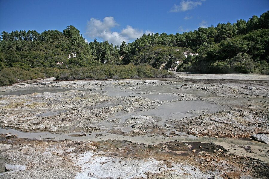 Hot mud pools at Waiotapu thermal wonderland