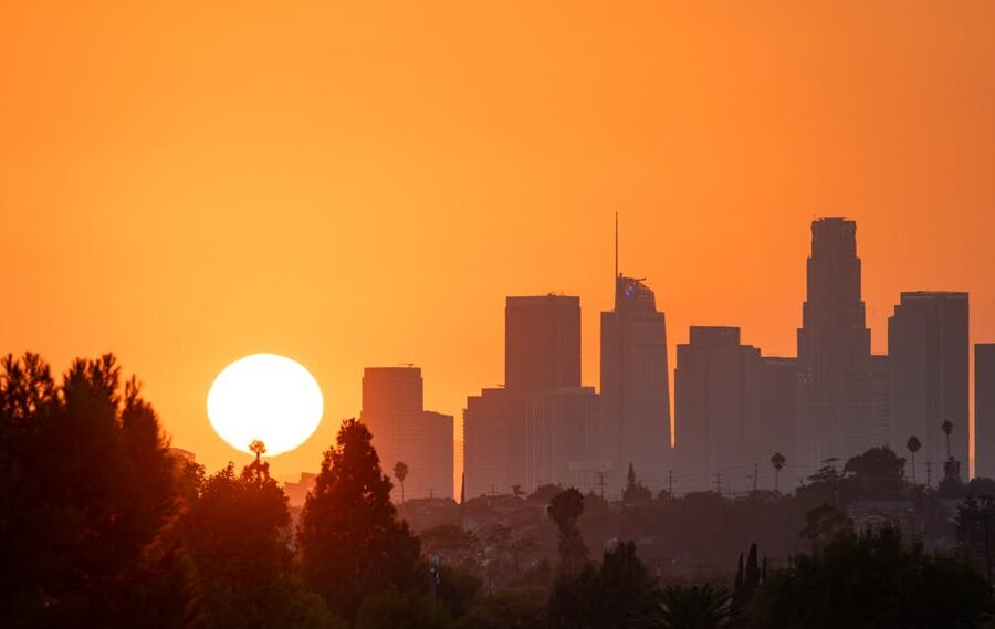Los Angeles sunset with palm tree silhouettes against an orange sky